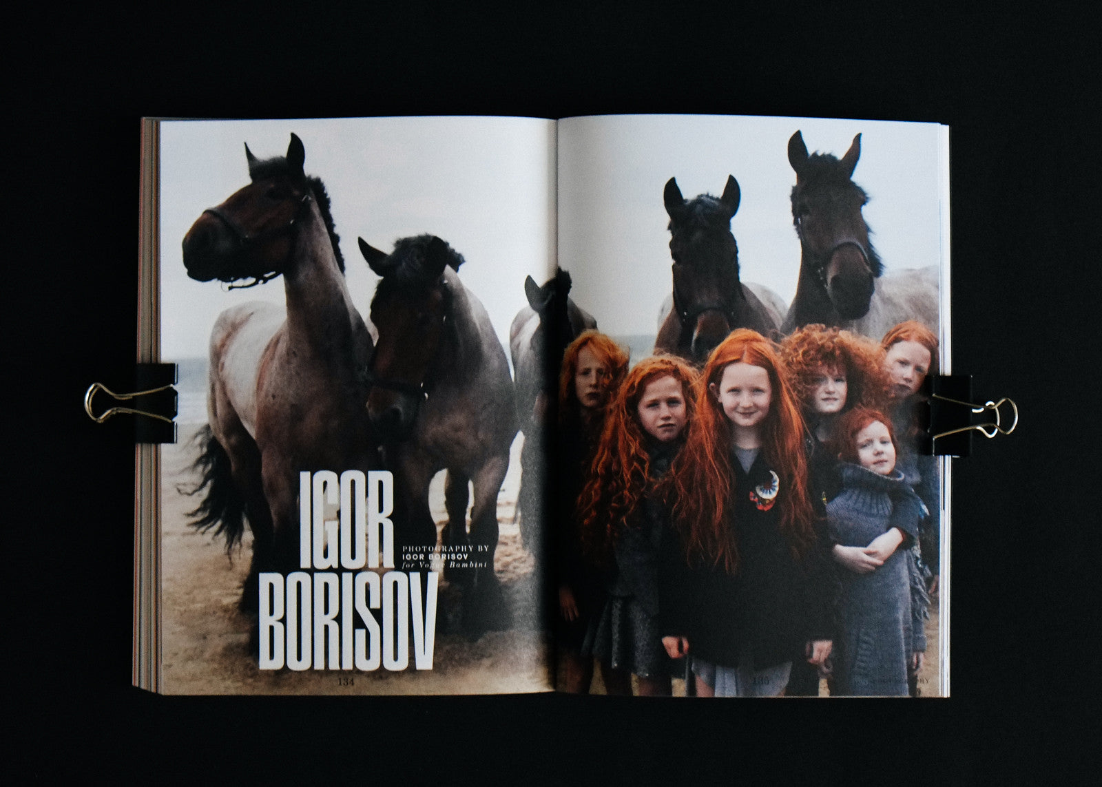 MC1R Magazine #6 - The magazine for redheads